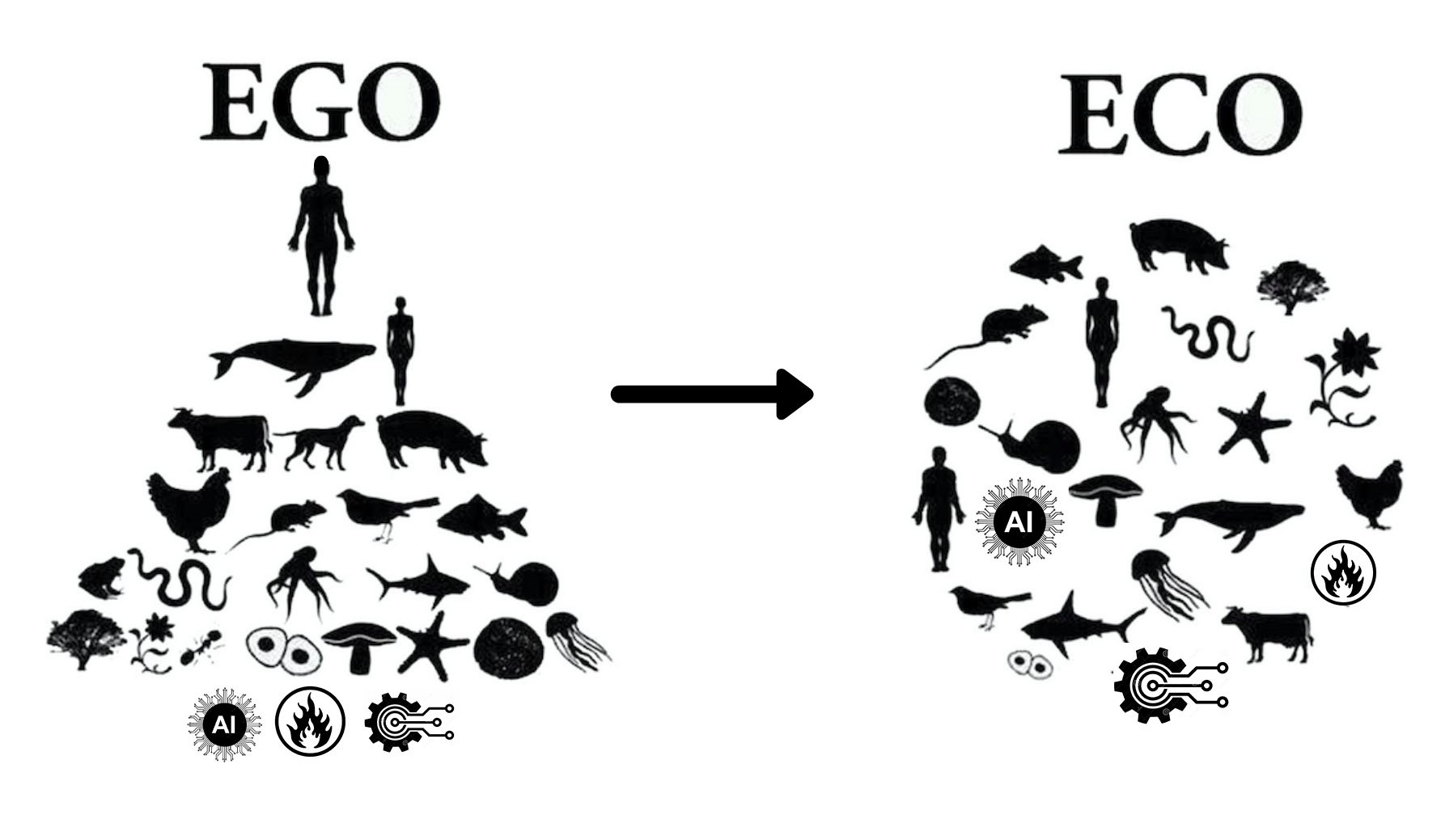 Harmonic Intelligence AI